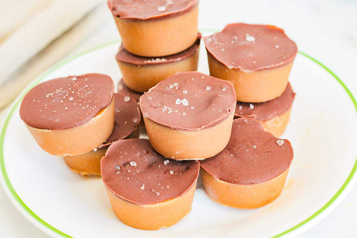 Easy Delicious Peanut Butter Chocolate Fudge Bites - Delectable Food Life