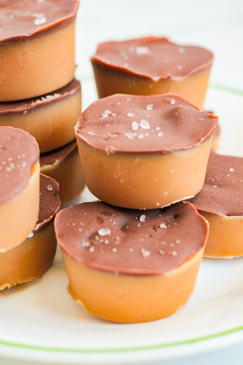 Easy Delicious Peanut Butter Chocolate Fudge Bites - Delectable Food Life
