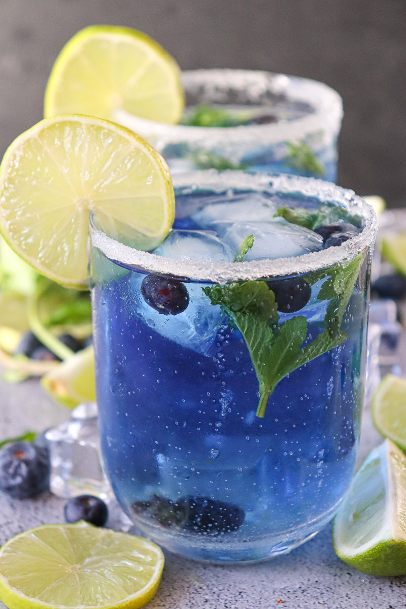 The BEST Blueberry Mojito Mocktail Recipe - Delectable Food Life