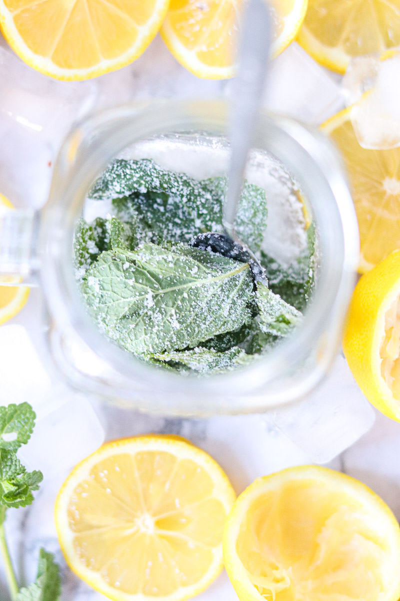 The Best Lemon Mojito Mocktail Recipe - Easy! - Delectable Food Life