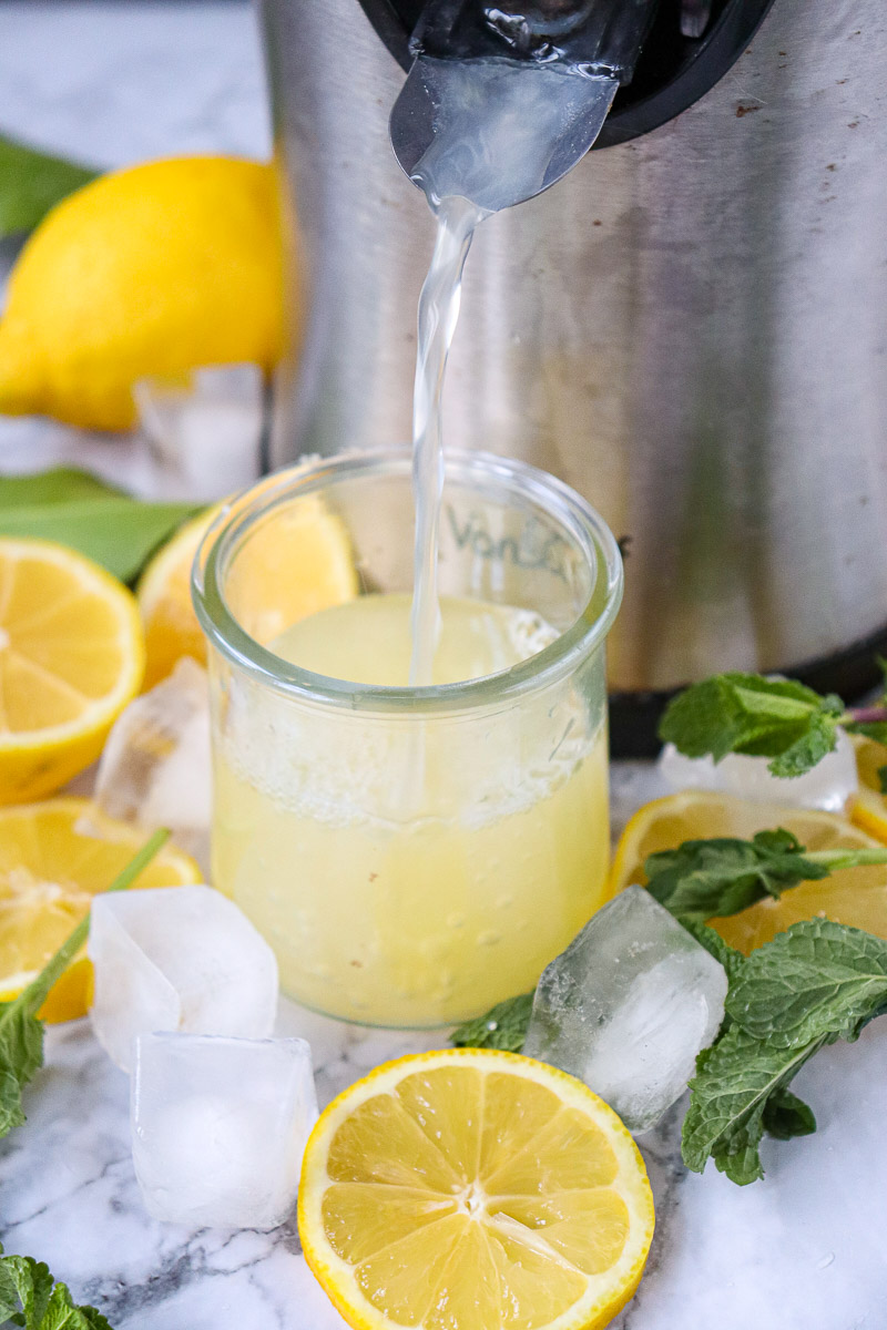 The Best Lemon Mojito Mocktail Recipe - Easy! - Delectable Food Life