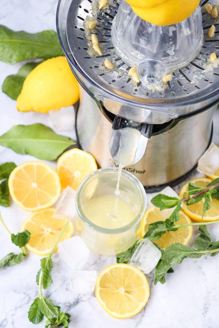 The Best Lemon Mojito Mocktail Recipe - Easy! - Delectable Food Life